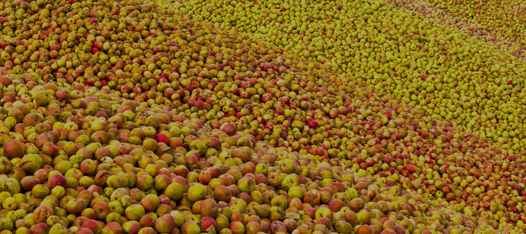 Collections - French Cider, Inc.